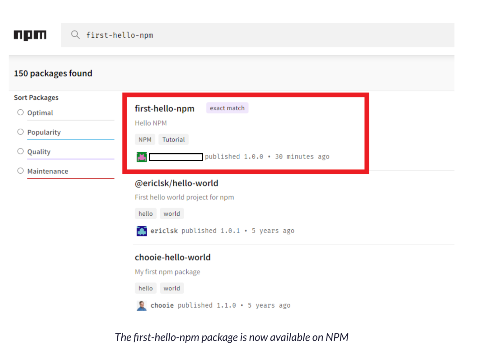 Create and Publish an NPM Package - Sehgal Tech